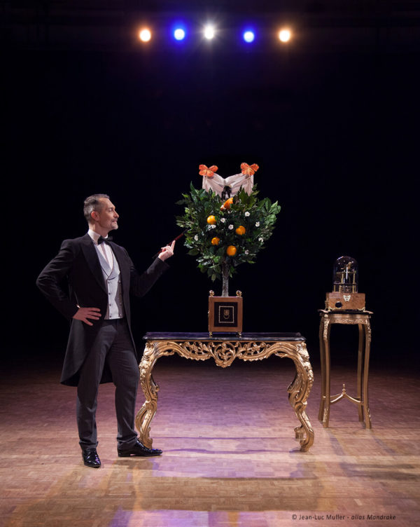 The only magic show of its kind in Paris - Soirées Fantastiques
